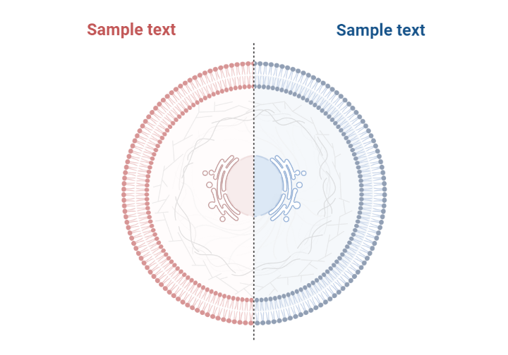 Compare and Contrast Layout - Cell | BioRender Science Templates