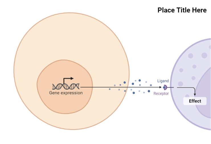 Simple 2 Cell Layout | BioRender Science Templates