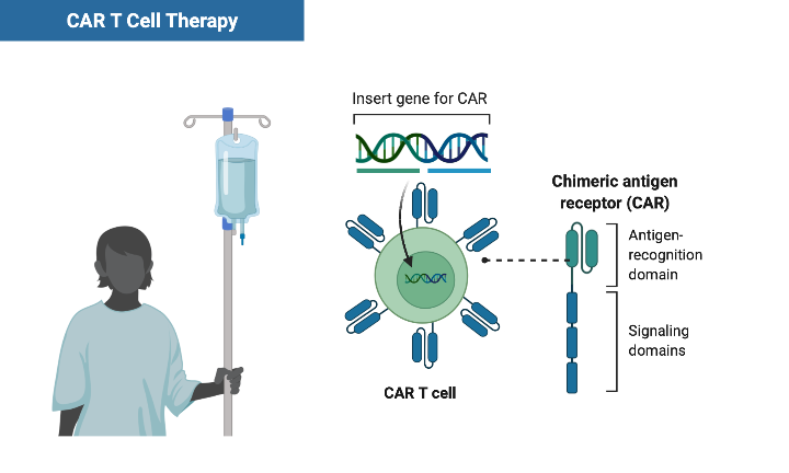 CAR T Cell Therapy | BioRender Science Templates