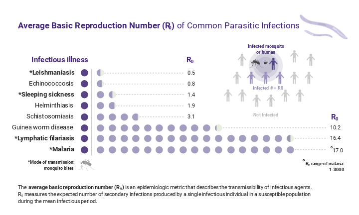 Average Basic Reproduction Number (R0) of Common Parasitic Infections ...