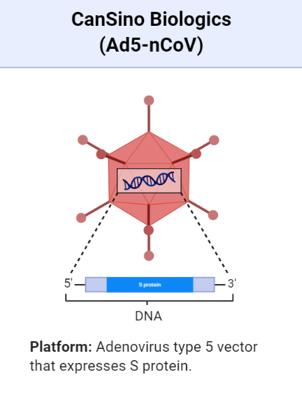 COVID-19 Vaccine Candidate: Ad5-nCoV (CanSino Biologics) | BioRender ... COVID-19 Vaccine Candidate: Ad5-nCoV (CanSino Biologics) | BioRender ...