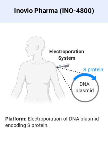 COVID-19 Vaccine Candidate: INO-4800 (Inovio Pharma) | BioRender ...