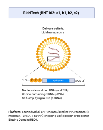 COVID-19 Vaccine Candidate: BNT162 (a1, b1, b2, c2) (BioNTech ...