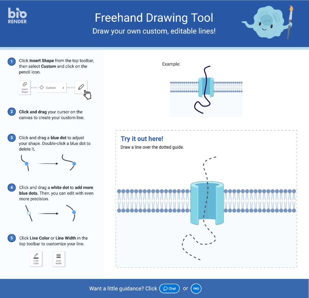 BioRender Activity Sheet: Freehand Drawing Tools | BioRender Science ...
