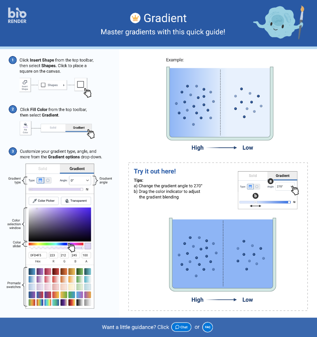 BioRender Activity Sheet: Gradient | BioRender Science Templates