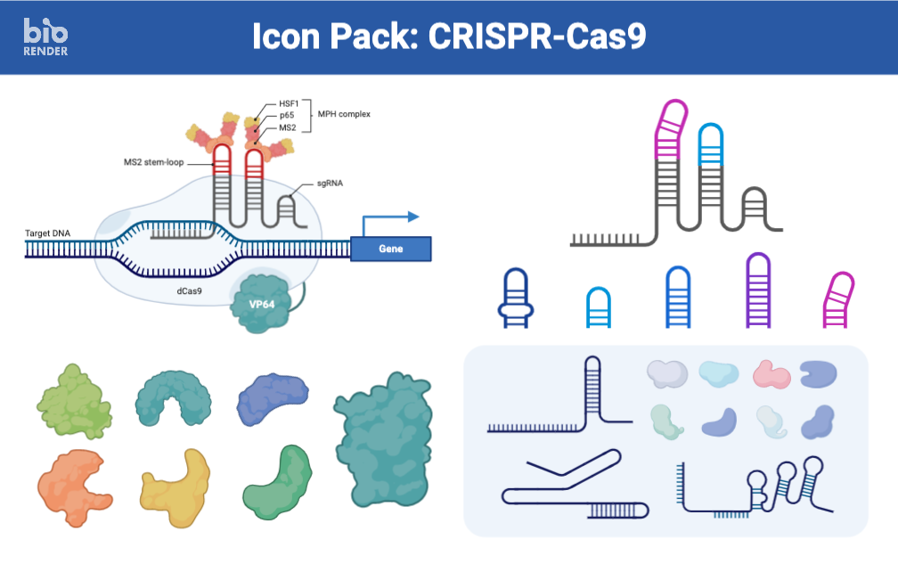 Icon Pack - CRISPR-Cas9 | BioRender Science Templates