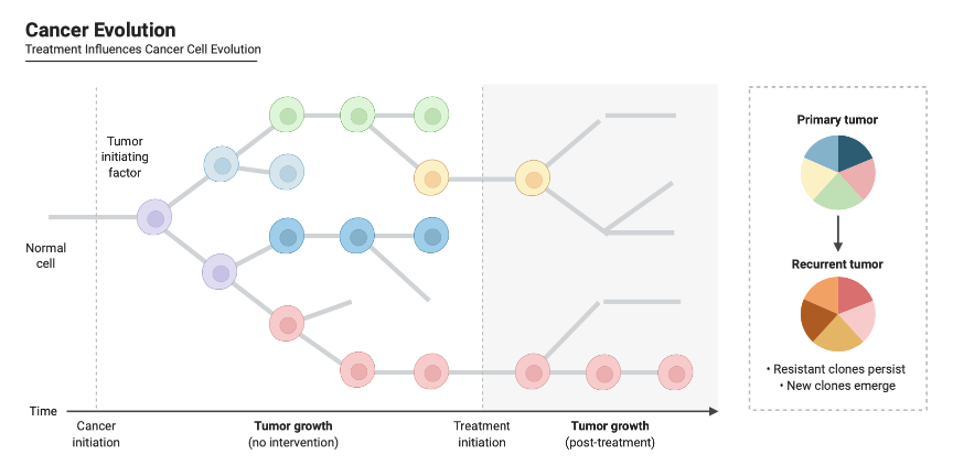 Cancer Evolution with Treatment | BioRender Science Templates