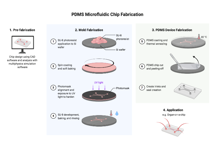 PDMS Microfluidic Chip Fabrication | BioRender Science Templates