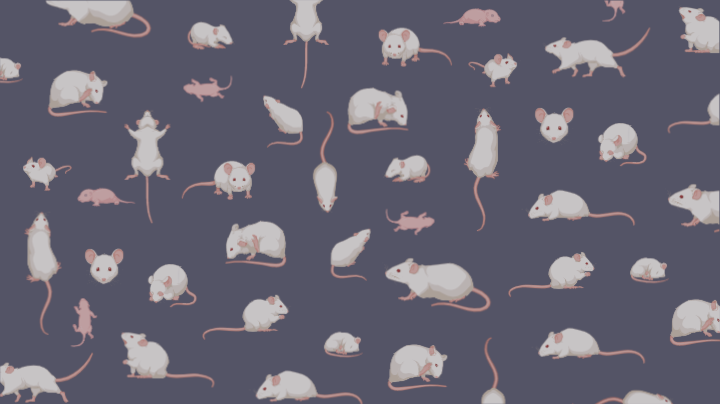 Virtual Background - Mice | BioRender Science Templates