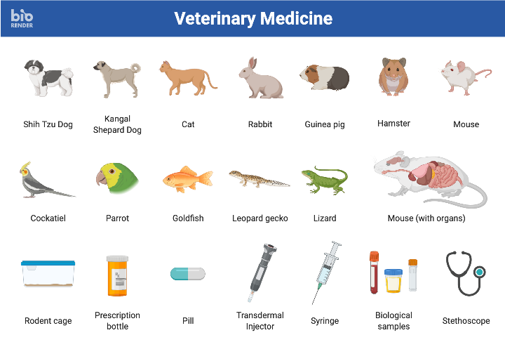 Icon Pack - Veterinary Medicine | BioRender Science Templates