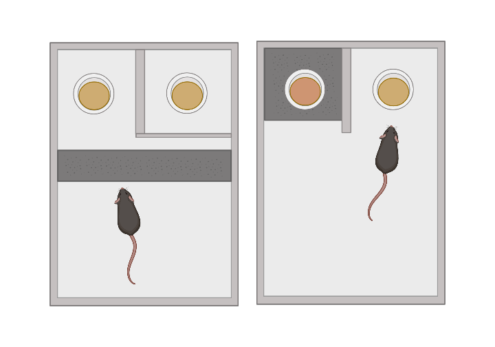 Rodent Cage Layout (Top view) | BioRender Science Templates