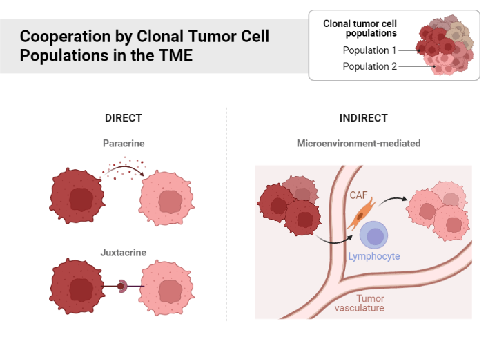 Cooperation by Clonal Tumor Cell Populations in the TME | BioRender ...