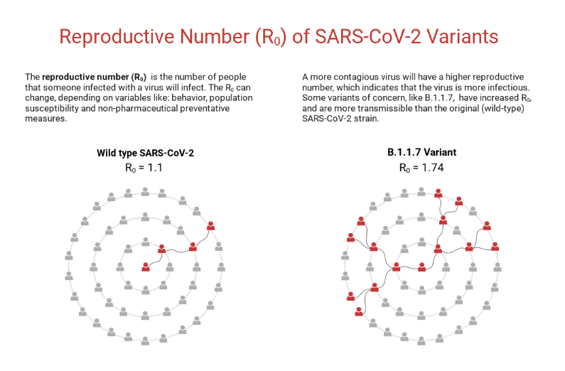 Reproductive Number R0 Of Sars Cov 2 Variants Biorender Science