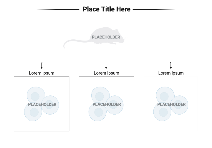 Flow Diagram (2 Levels, Vertical) | BioRender Science Templates