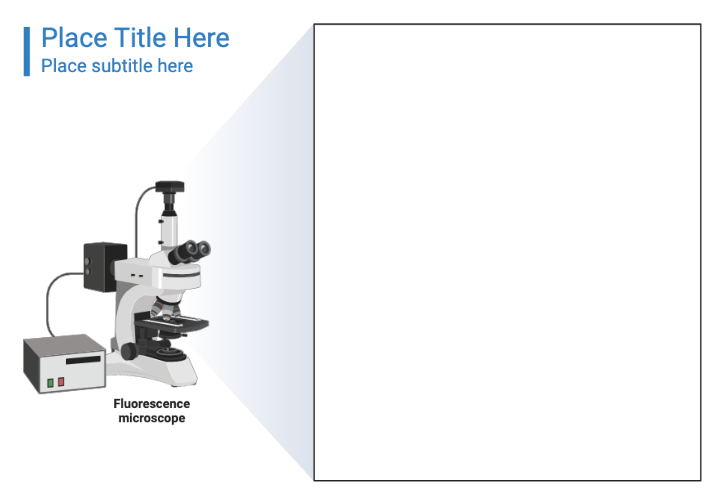 Fluorescence Microscope with Callout (Layout) | BioRender Science Templates