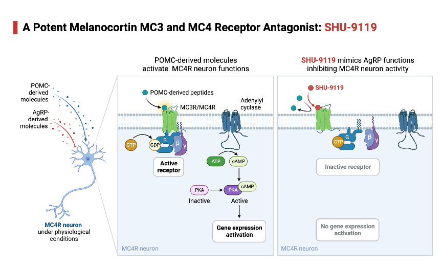 Receptor Antagonist