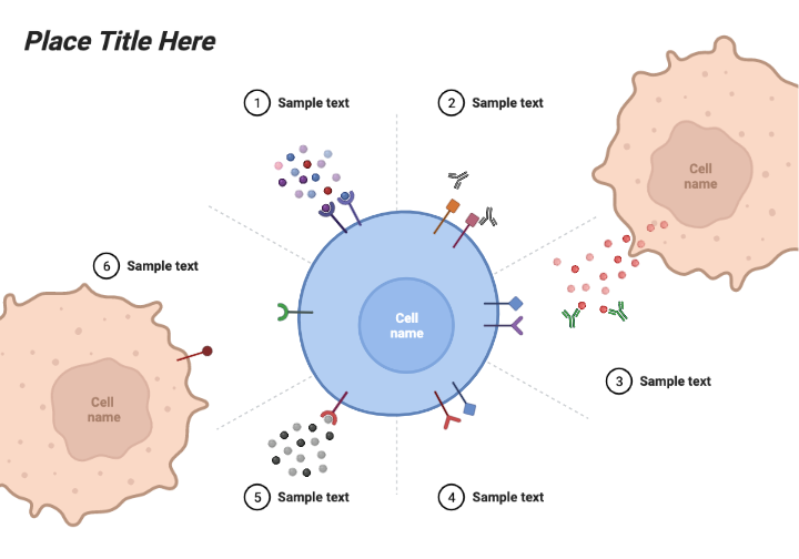 Cell Immunotherapy (Layout) | BioRender Science Templates