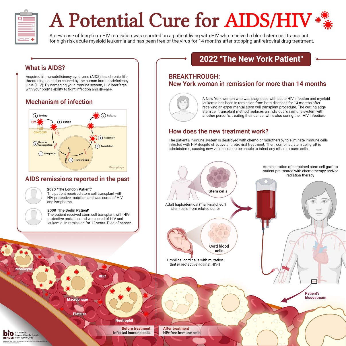 A Potential Cure for AIDS/HIV | BioRender Science Templates