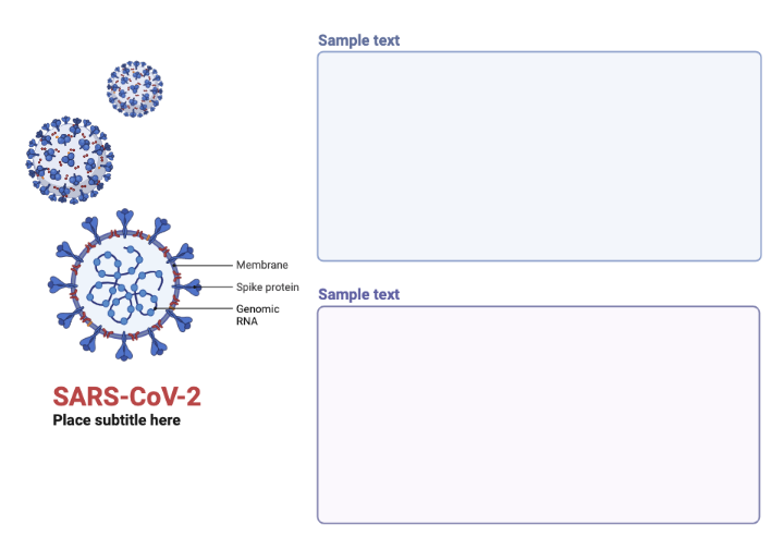 SARS-CoV-2, 2 Panels (Layout 1x2) | BioRender Science Templates