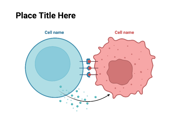 Cell Interaction with Tumor Cell (Layout) | BioRender Science Templates