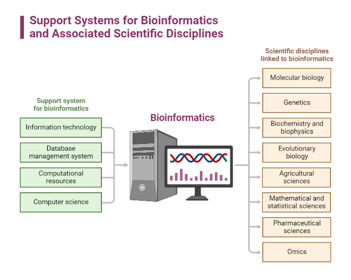 Support Systems for Bioinformatics and Associated Scientific ...