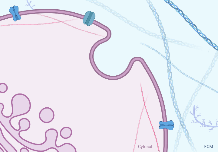 Cellular Environment (Background) | BioRender Science Templates