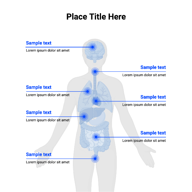Human Organs with Callout (Layout) | BioRender Science Templates