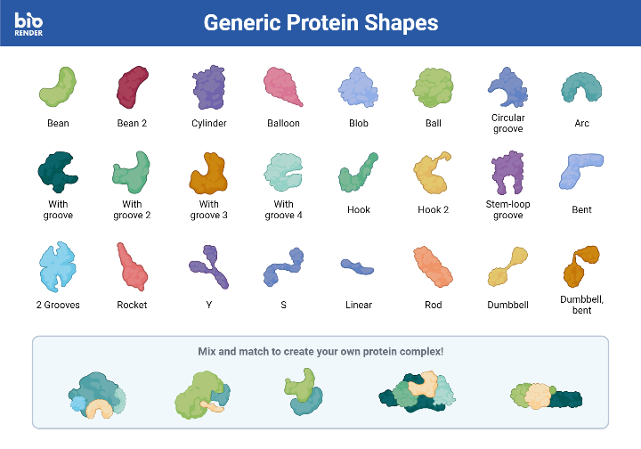 Icon Pack - Generic Protein Shapes | BioRender Science Templates