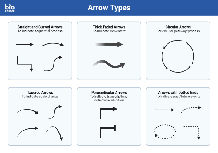 Icon Pack - Arrow Types | BioRender Science Templates
