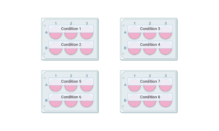 Well Plate Assay (Layout) | BioRender Science Templates