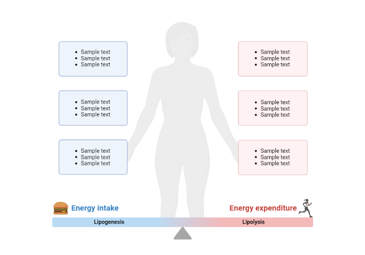 Energy Intake and Expenditure (Layout) | BioRender Science Templates