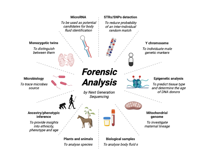 Forensic Analysis BioRender Science Templates