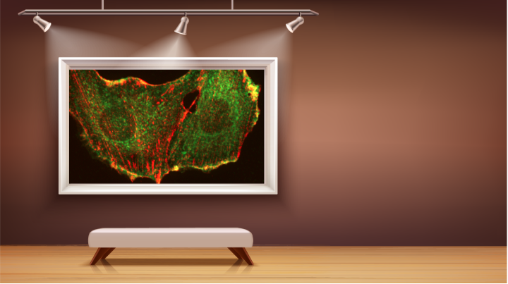 Virtual Background - Frame 1 | BioRender Science Templates