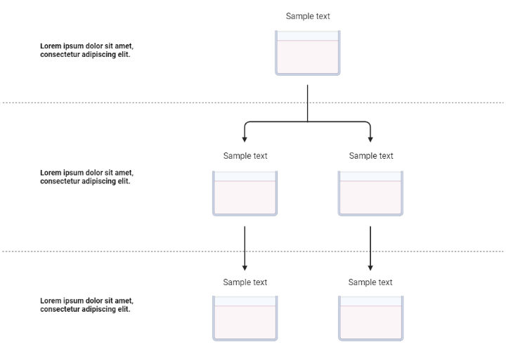 Cell Culture Workflow Layout Biorender Science Templates