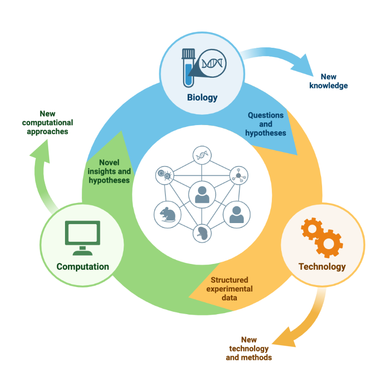 Systems Biology Cycle | BioRender Science Templates