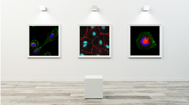 Virtual Background - Frame 3 | BioRender Science Templates