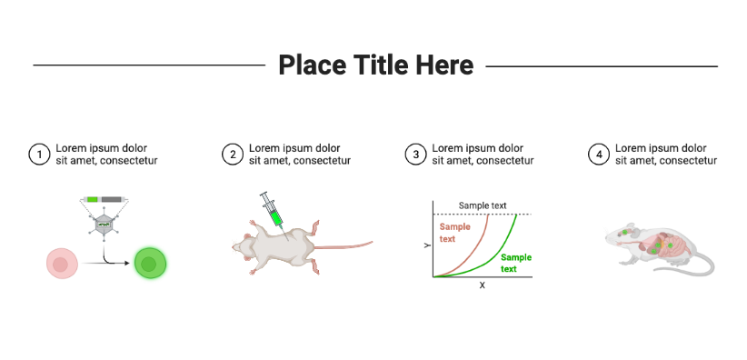 In Vivo Cell Tracking (Layout 4x1) | BioRender Science Templates