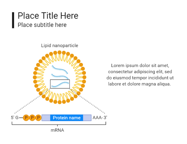 mRNA Vaccine with Callout (Layout) | BioRender Science Templates