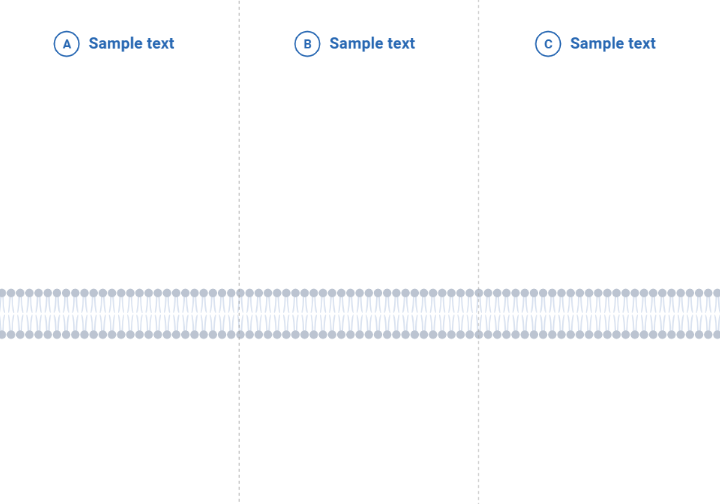 Cell Membrane Panels Comparison (Layout 3x1) | BioRender Science Templates