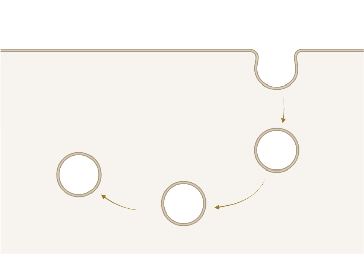 Membrane Endocytosis | BioRender Science Templates