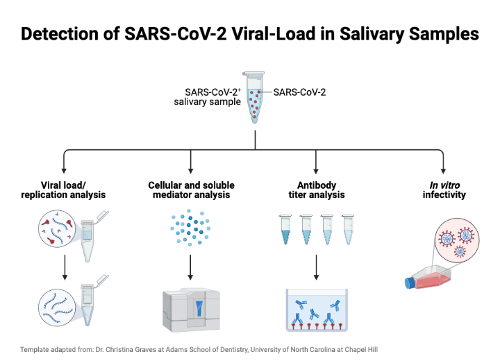Detection of SARS-CoV-2 Viral-Load in Salivary Samples | BioRender ...