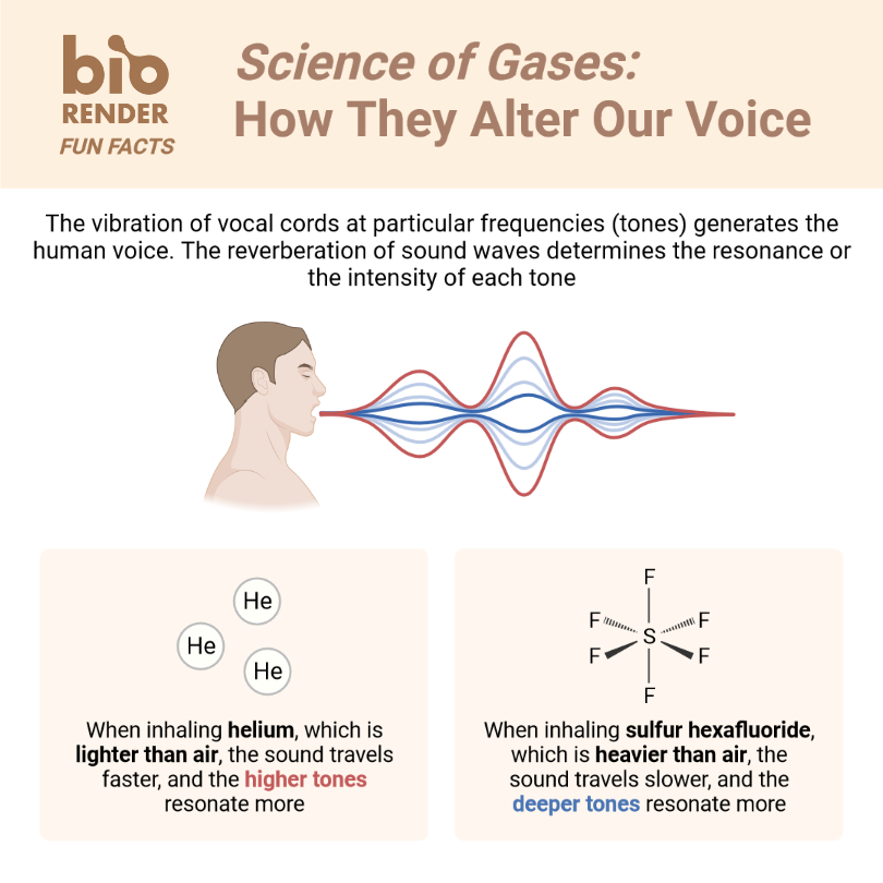 Science of Gases: How They Alter Our Voice | BioRender Science Templates