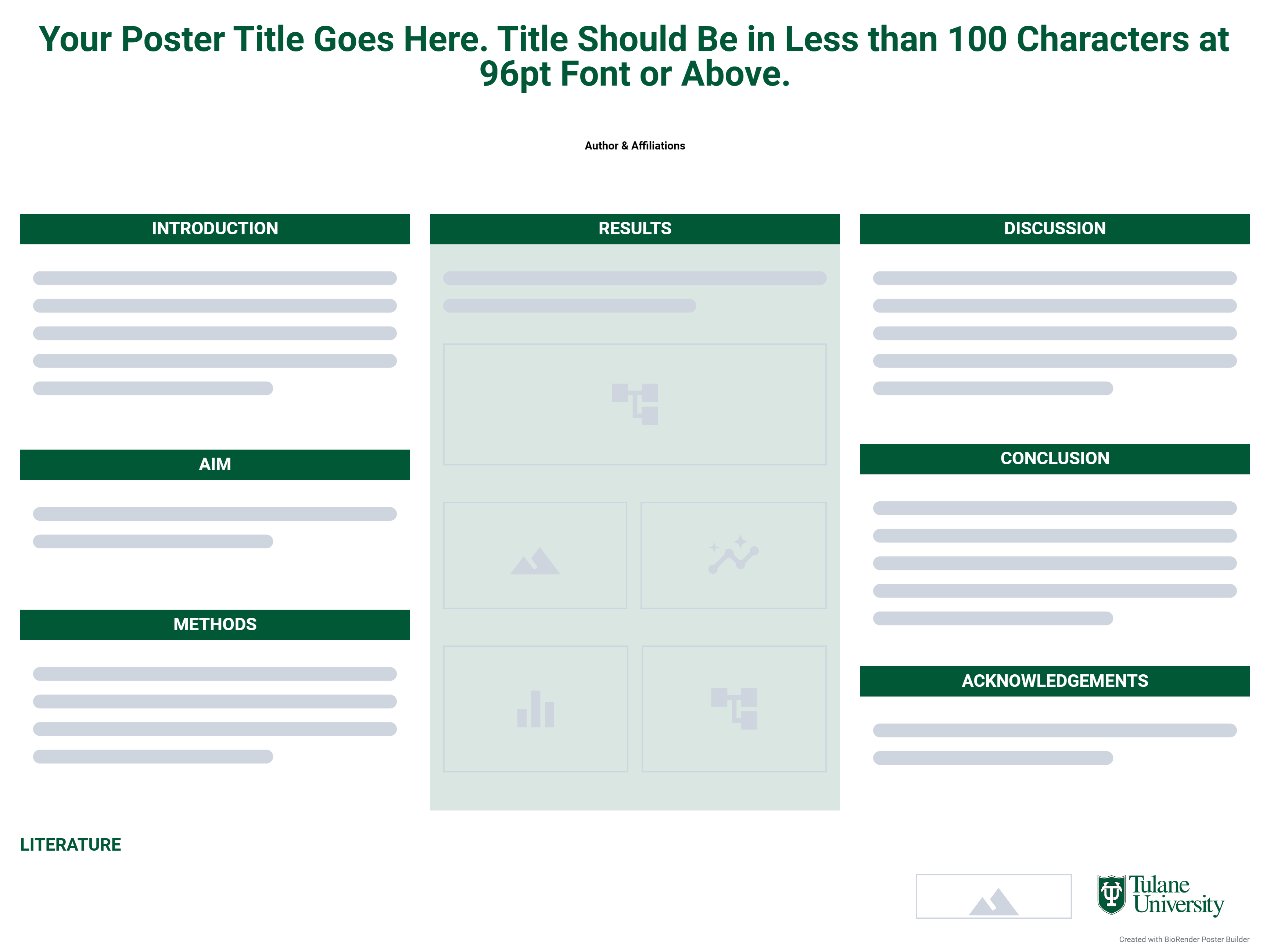 Tulane University Poster Template – Landscape | BioRender Science Templates
