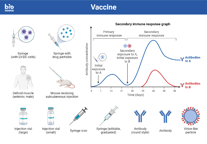 Icon Pack - Vaccine | BioRender Science Templates