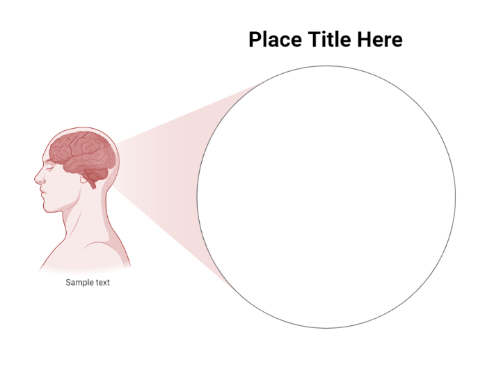 Brain with Circular Callout (Layout) | BioRender Science Templates