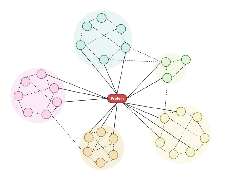 Protein Interactome (Layout) | BioRender Science Templates
