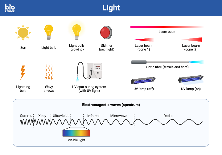 Icon Pack - Light | BioRender Science Templates