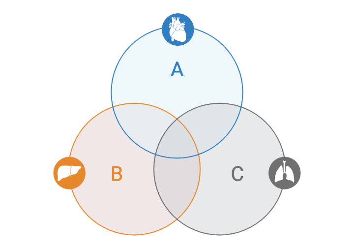 Venn Diagram with Organs 2 (Layout) | BioRender Science Templates