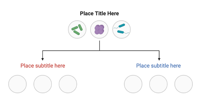 Flow Diagram with Pathogens (2 Column) (2) | BioRender Science Templates