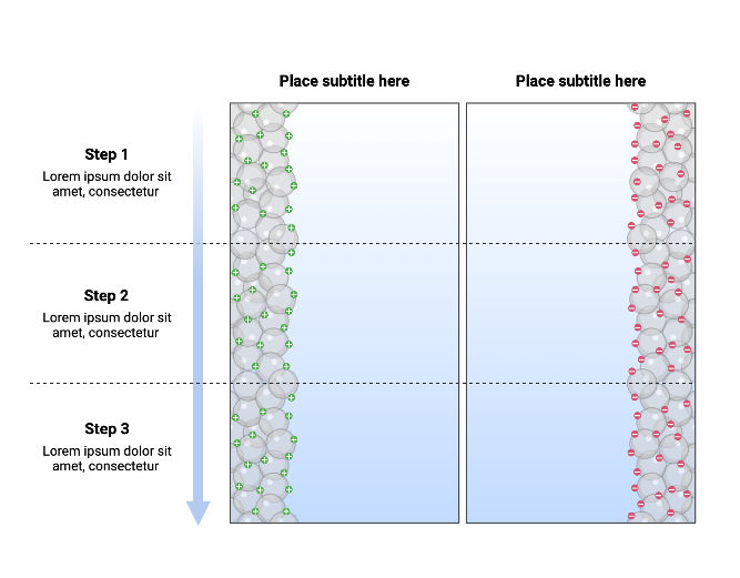 Chromatographic Column Molecular View (Layout) | BioRender Science ...